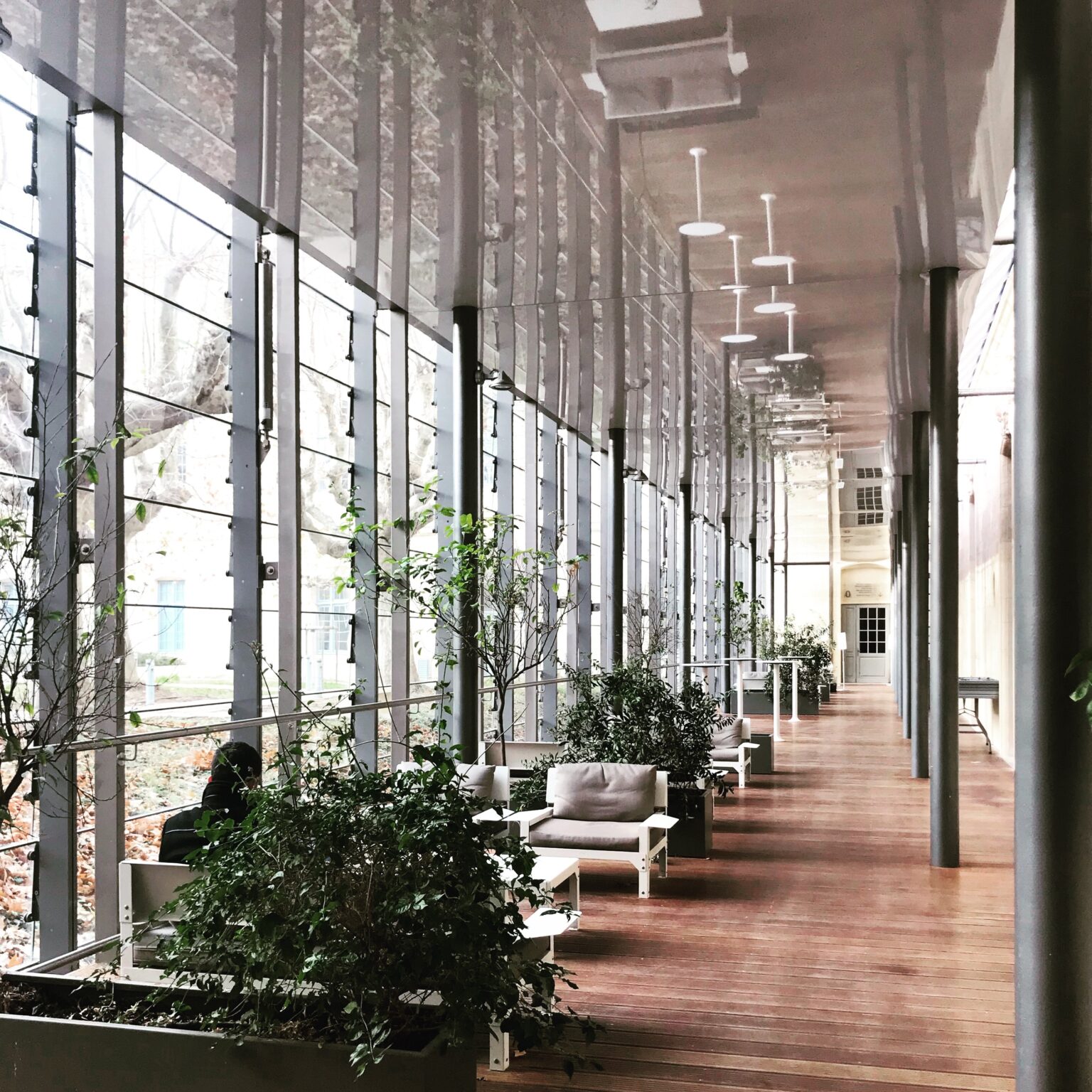 BIOPHILIC WORKSPACES, LETTING NATURE IN - Interior Design & Commercial ...